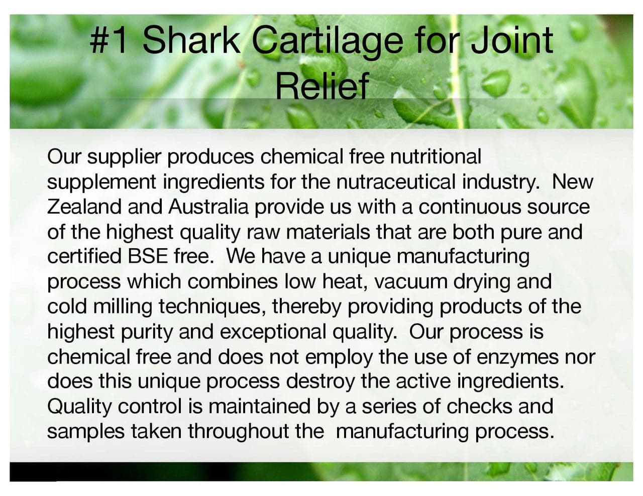 Bell Lifestyle Products Shark Cartilage for Joint Relief