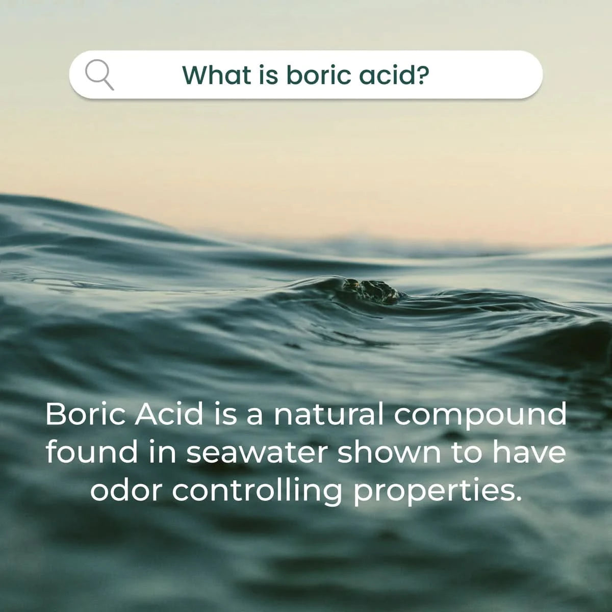 pH-D Boric Acid Suppositories 24ct | Vaginal Odor